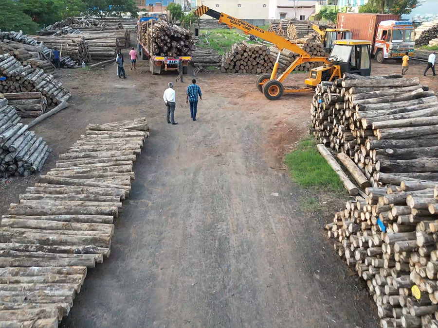 Gallery - Jayaraj Timber - Your Trusted Source for Teakwood